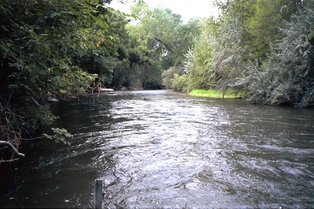 USGS Current Conditions for USGS 10163000 PROVO RIVER AT PROVO, UT